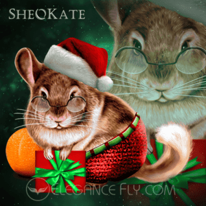 Elida – Elegancefly