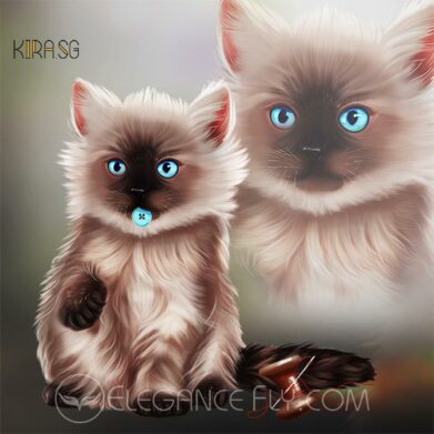 Teddy bear – Elegancefly