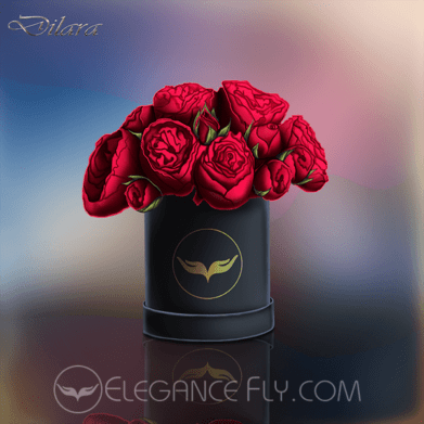 Sweet Gift – Elegancefly