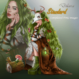 Aurora – Elegancefly