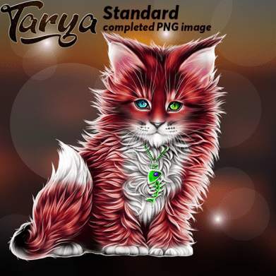 Marcus (cat) – Elegancefly