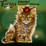 Marcus (cat) – Elegancefly