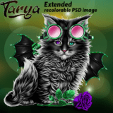 Marcus (cat) – Elegancefly