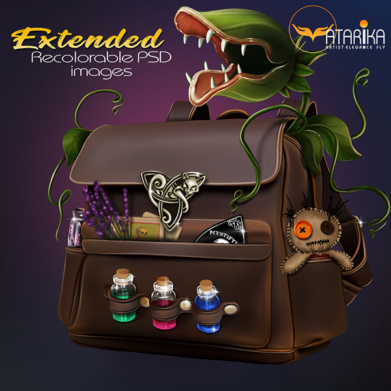 Little Witch – Elegancefly