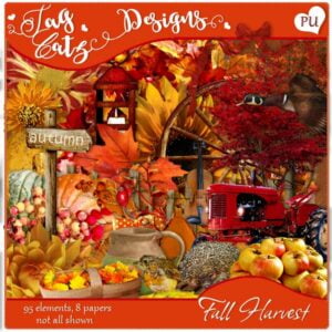 Fall Harvest - Elegancefly