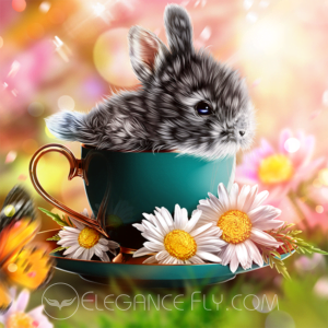 Free Gift – Elegancefly