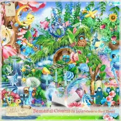 Beautiful Creatures {And Where to Find Them} – Elegancefly