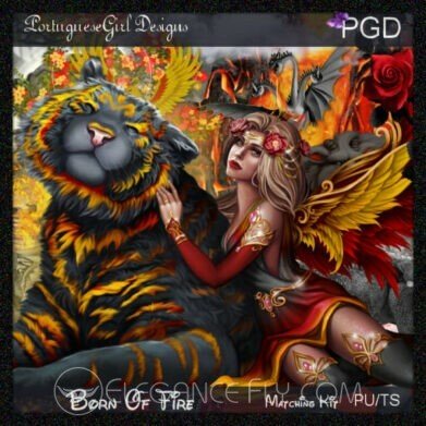 Beautiful creatures – Elegancefly