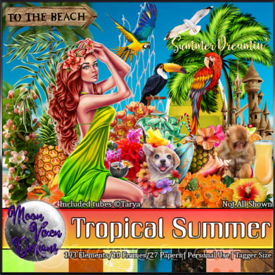 Tropical Summer – Elegancefly