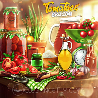 Author’s Sets – Elegancefly