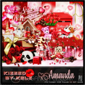 Amanda – Elegancefly