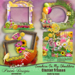 SUNSHINE ON MY SHOULDERS cluster frames – Elegancefly