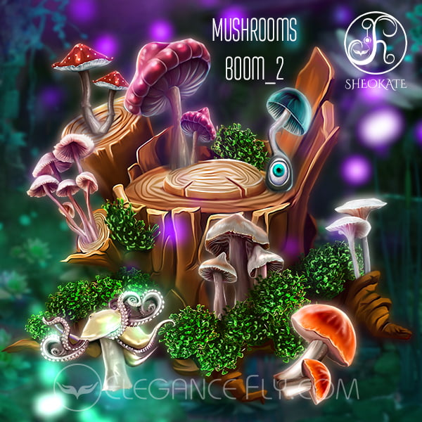 Mushroom’s boom 2 – Elegancefly