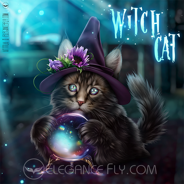 Author's Sets Archives - Elegancefly