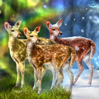 Forest Melody – Elegancefly