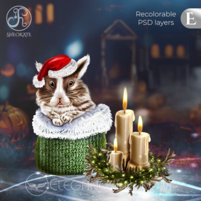 Stella – Elegancefly