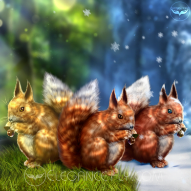 Forest Melody – Elegancefly