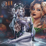 Stella – Elegancefly