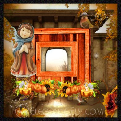 Fall Colors – Elegancefly