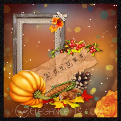 Fall Colors – Elegancefly