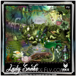 Lady Snake – Elegancefly