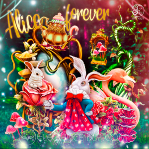 Author’s Sets (CU) – Elegancefly