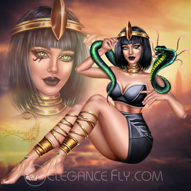 Amalia – Elegancefly