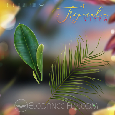 Tropical Vibes – Elegancefly