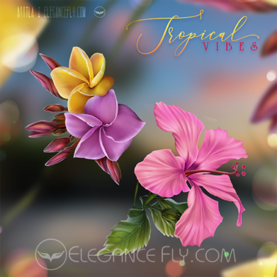 Tropical Vibes – Elegancefly