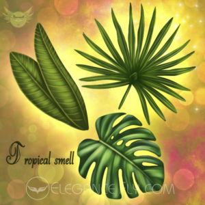 Tropical smell – Elegancefly