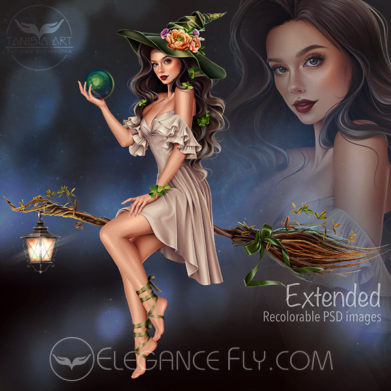 Madison – Elegancefly