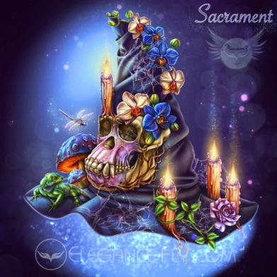 Ocean Secrets – Elegancefly