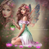 Karolina – Elegancefly