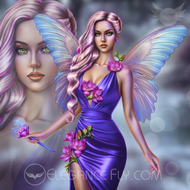 Sandra – Elegancefly