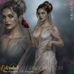 Fragile – Elegancefly